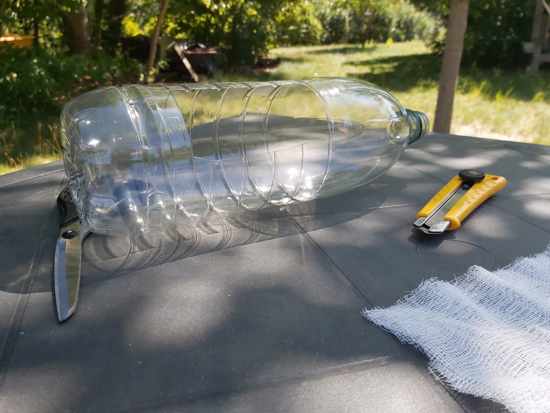 Bug Observation Pod - Earth Rangers
