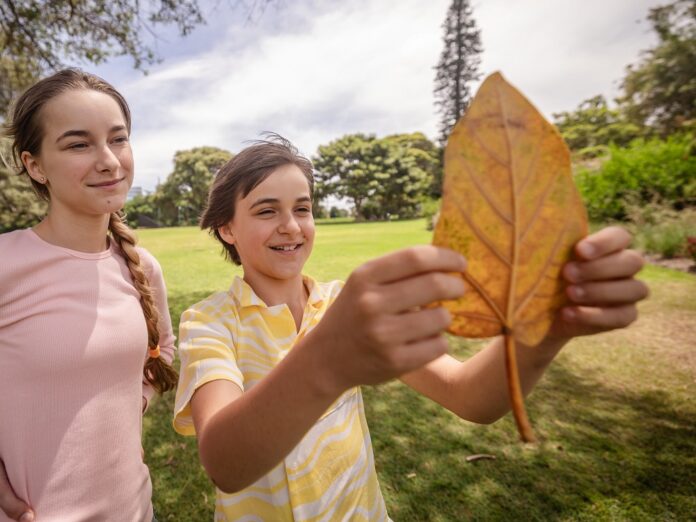 Fall Scavenger Hunt - Earth Rangers