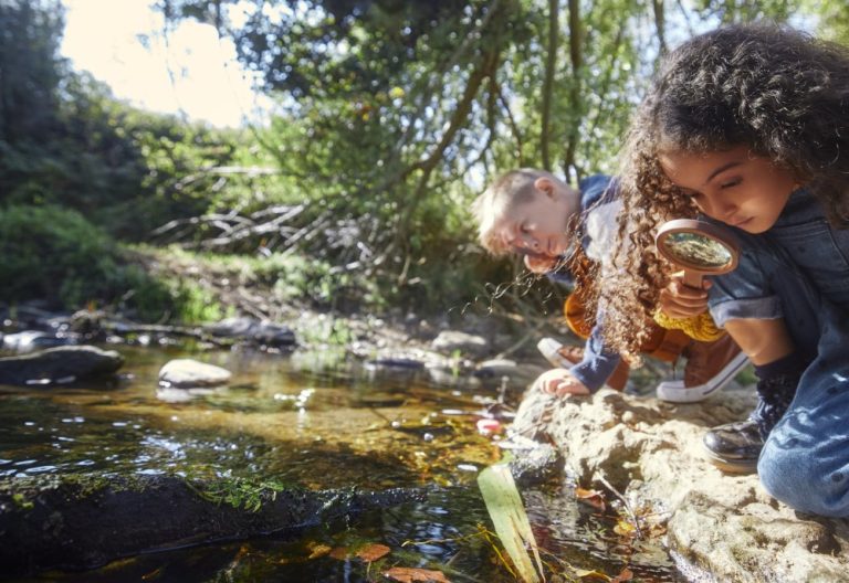 I Spy…a Scavenger Hunt Showdown! - Earth Rangers
