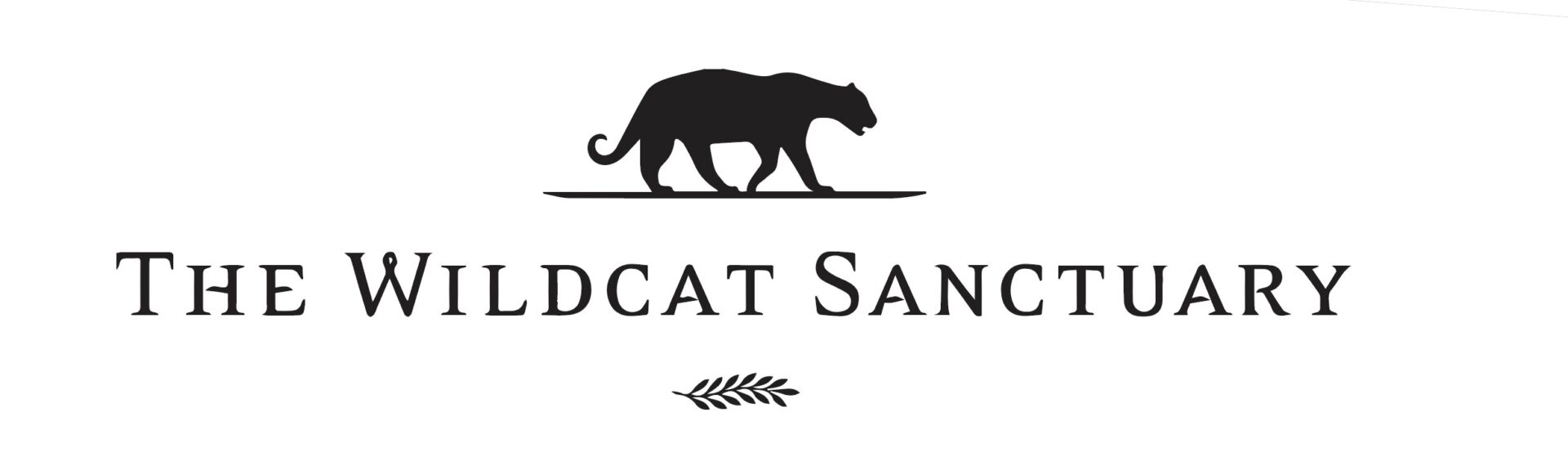 Rescued Jaguar Eats Popsicles Made of Meat?! - Earth Rangers