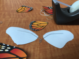Fluttering Butterfly Craft - Earth Rangers