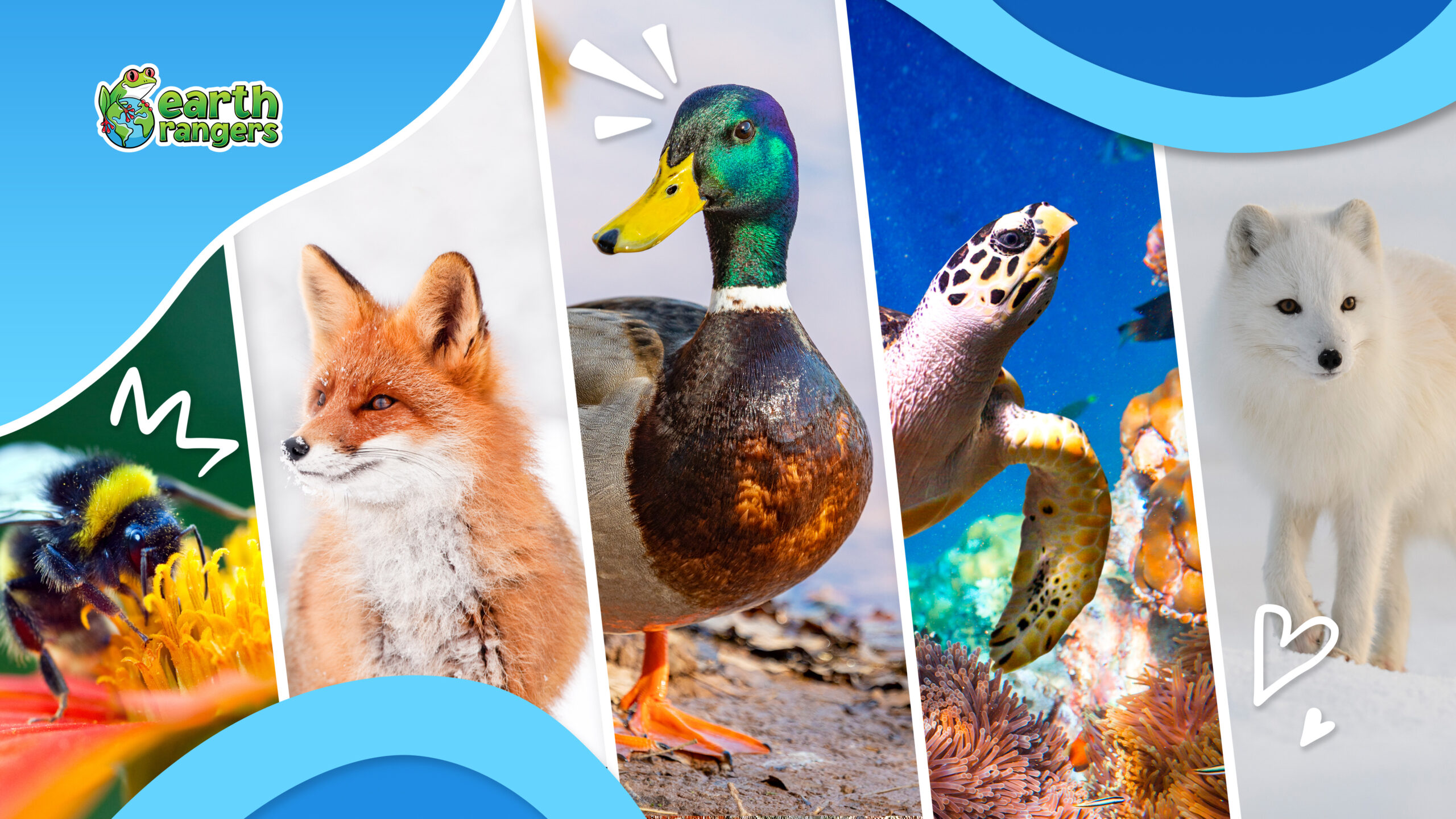 Fundraising Digital Prizes - Earth Rangers