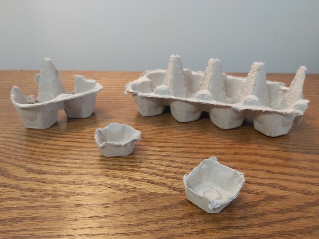 Egg-cellent mini garden - Earth Rangers