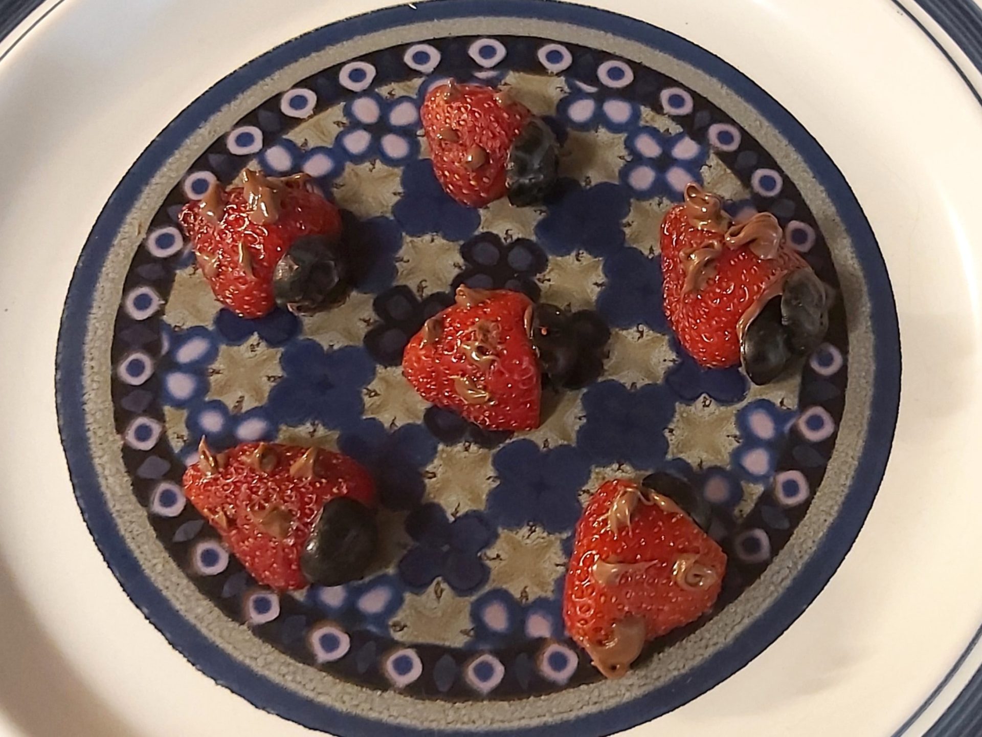 Strawberry Ladybug - Earth Rangers