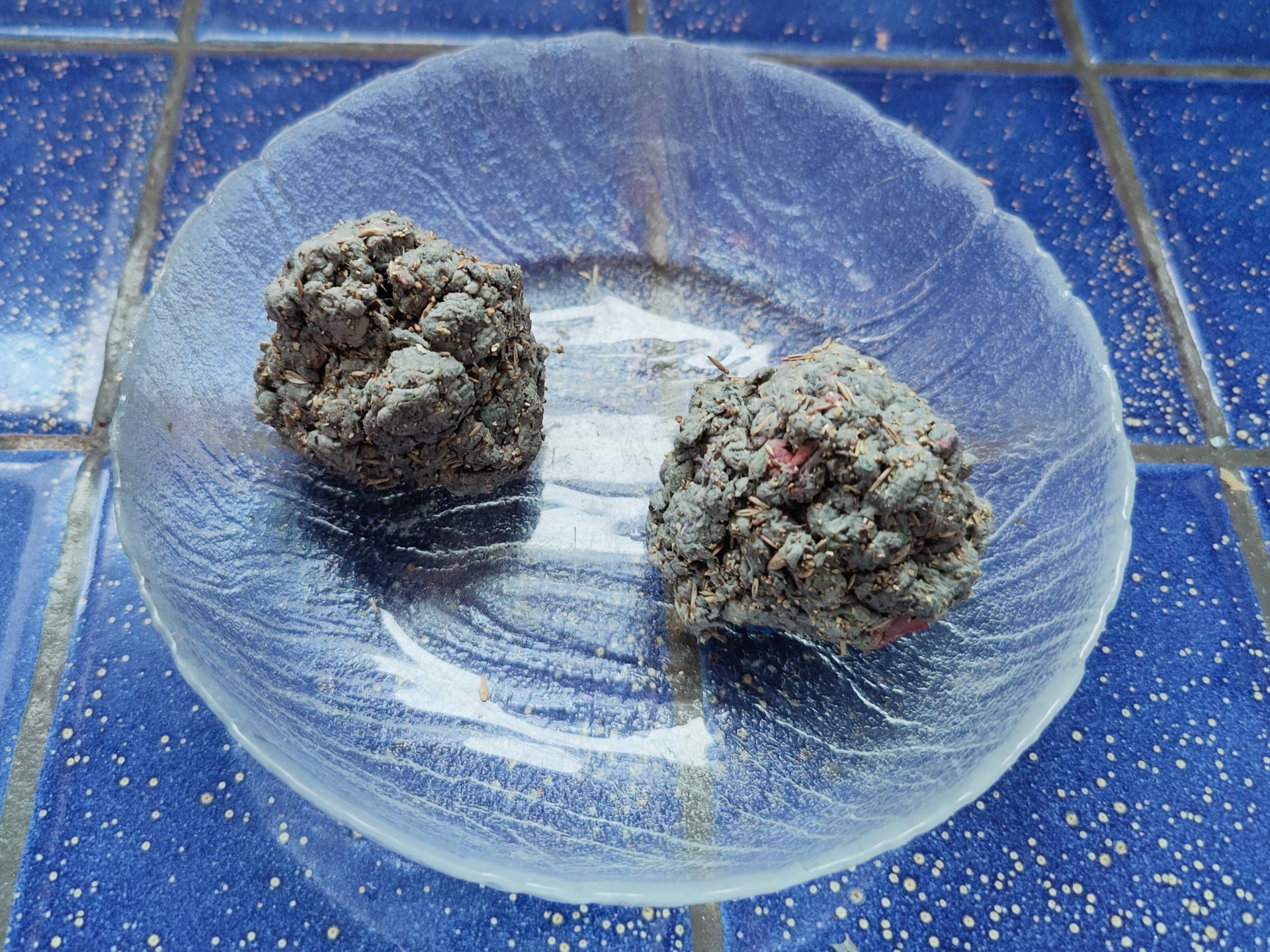 Wildflower Seed Balls - Earth Rangers
