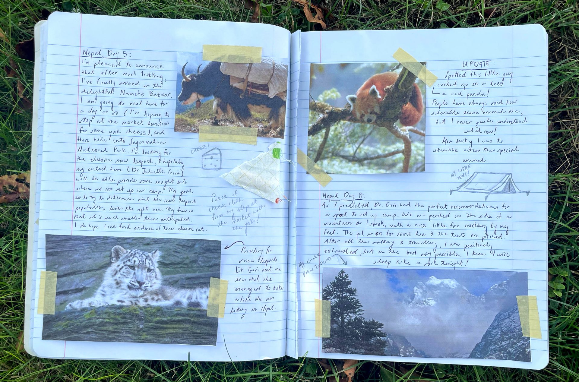 Adelia Goodwin’s Secret Journal – Season Overview | Earth Rangers