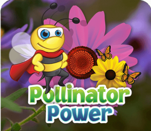 Let’s Celebrate National Pollinators Month! - Earth Rangers