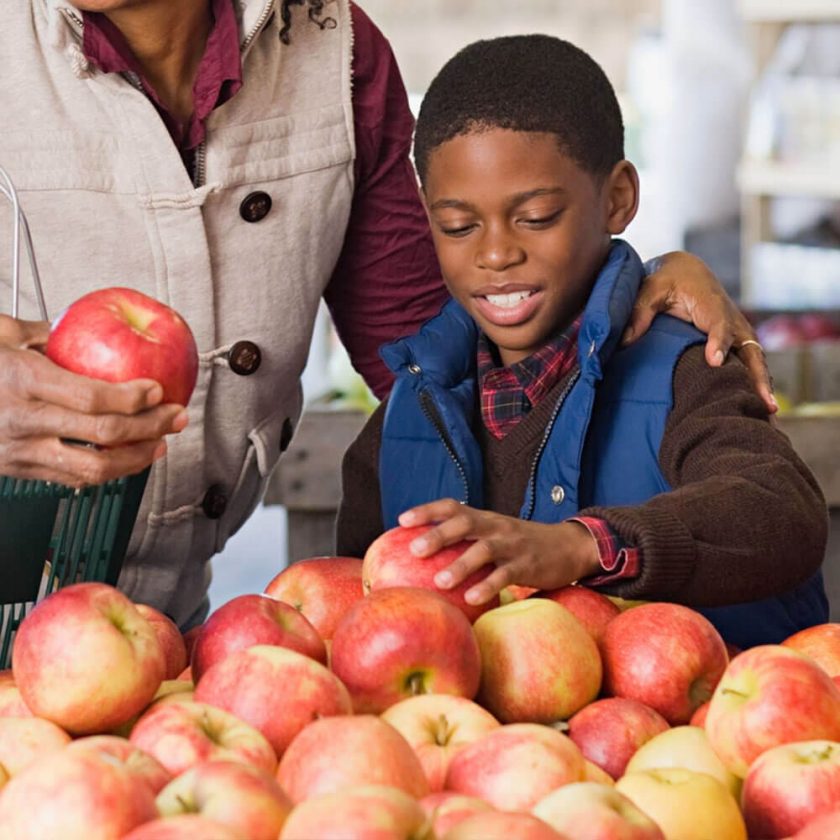 Stopping Food Waste Is BERRY Important! - Earth Rangers