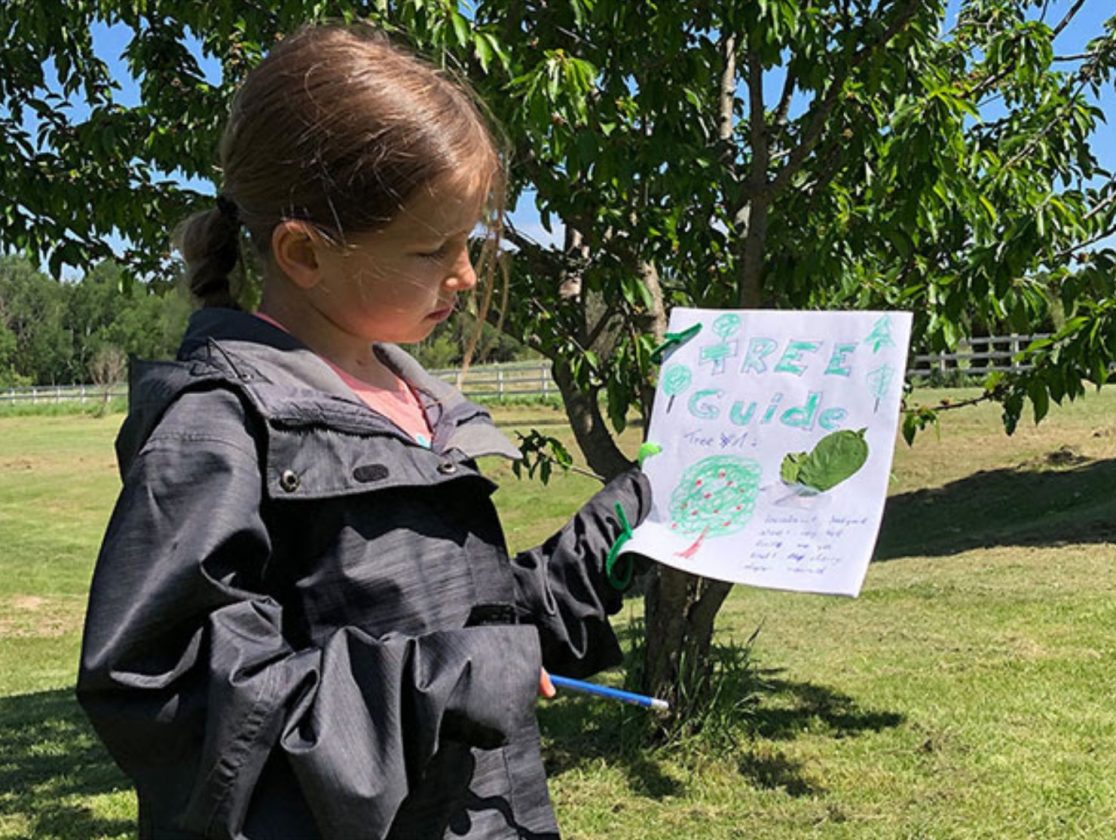 Eco-Activity: Local tree guidebook - Earth Rangers