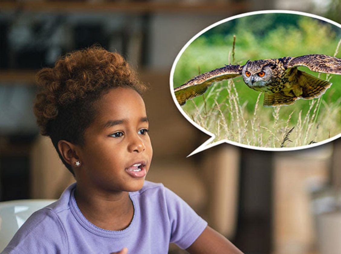 Eco-Activity: Animal encounter story contest - Earth Rangers