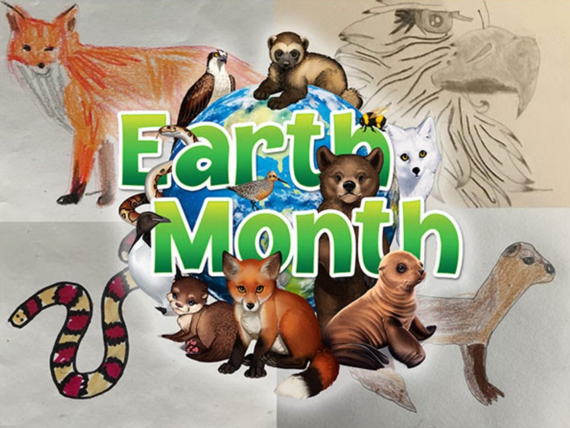 Eco-Activity: Earth Month animal art! - Earth Rangers