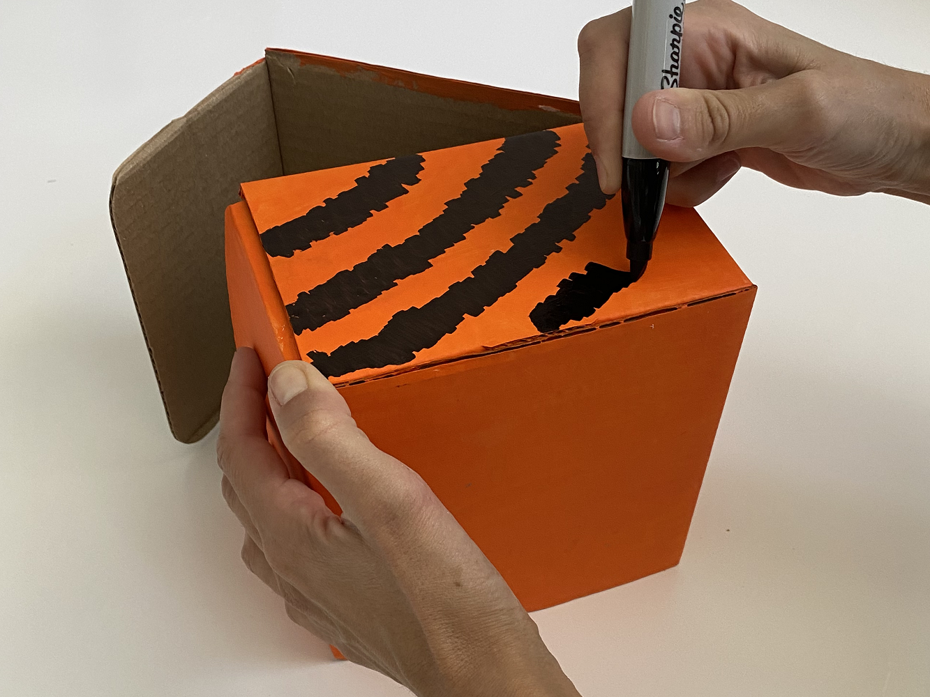 Terrific Tiger Battery Box - Earth Rangers