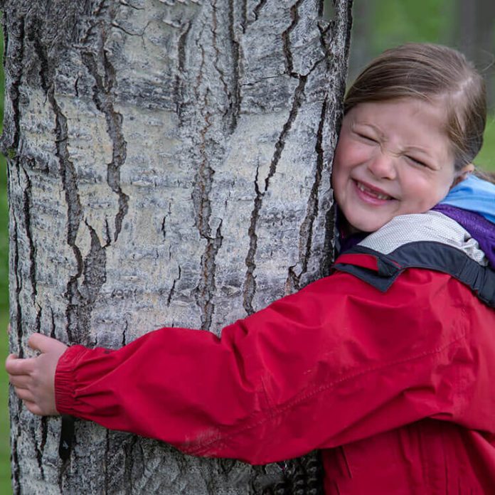Find a Tree Game - Earth Rangers