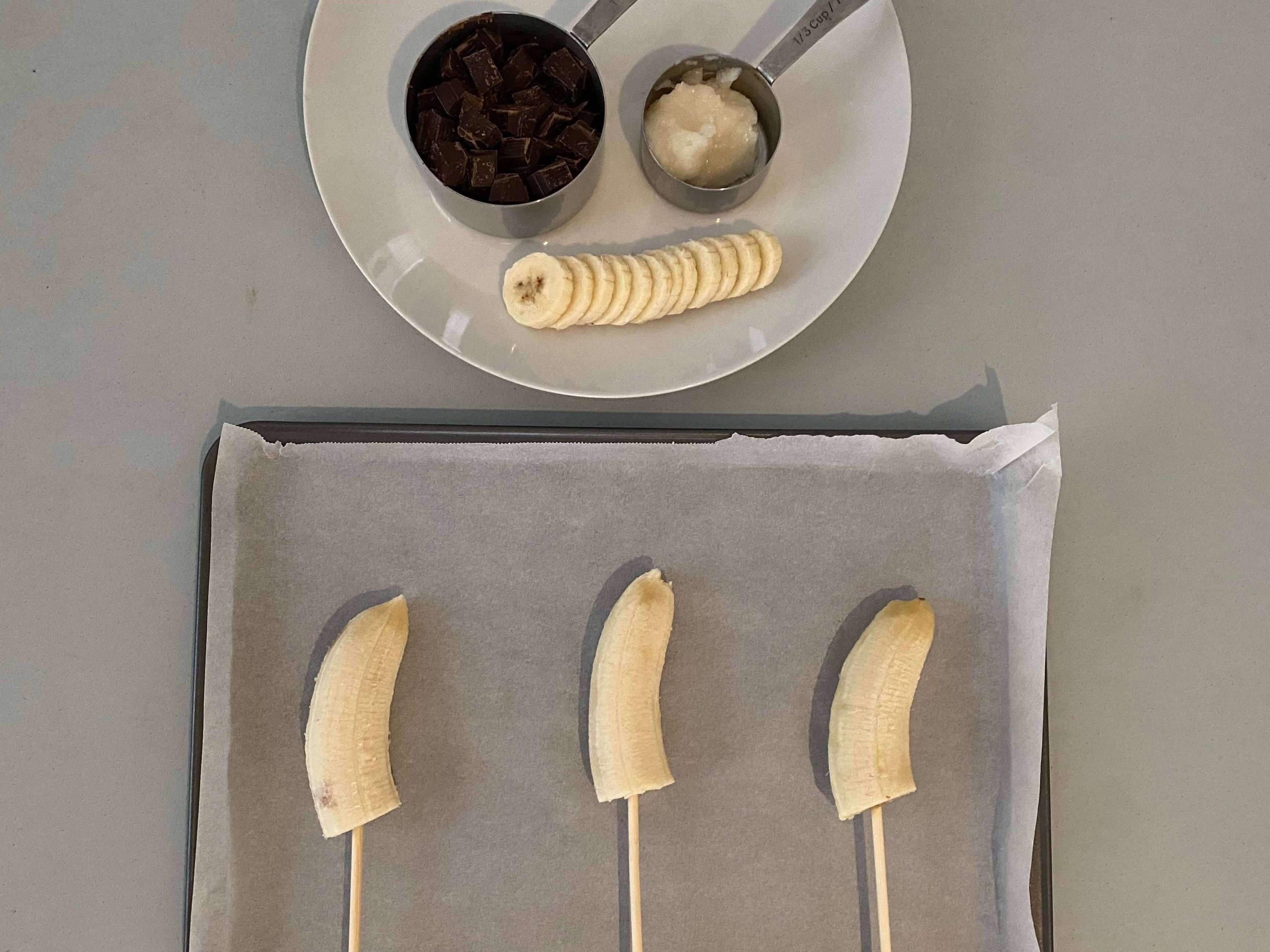 Frozen Monkey Pops - Earth Rangers