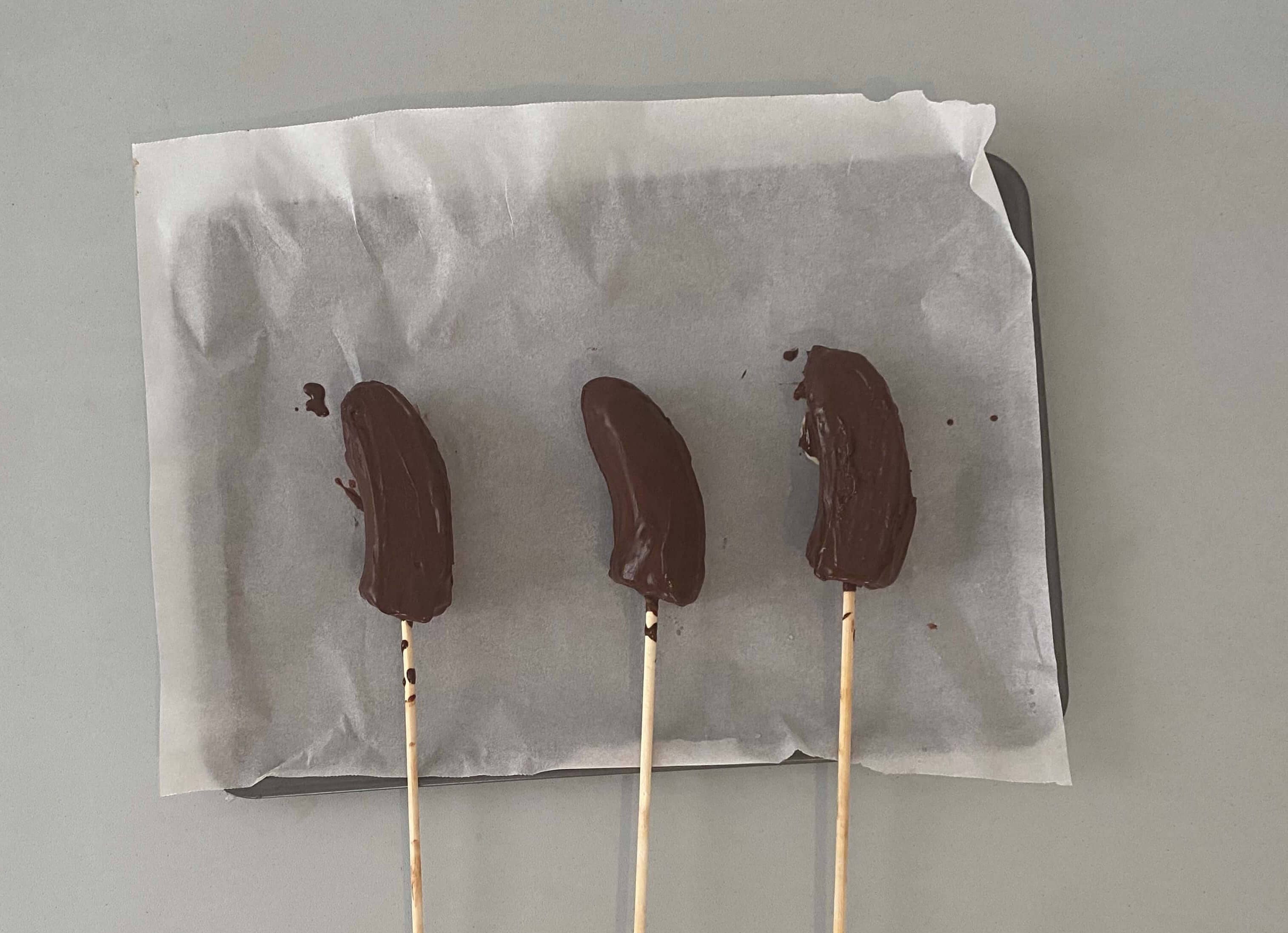 Frozen Monkey Pops - Earth Rangers