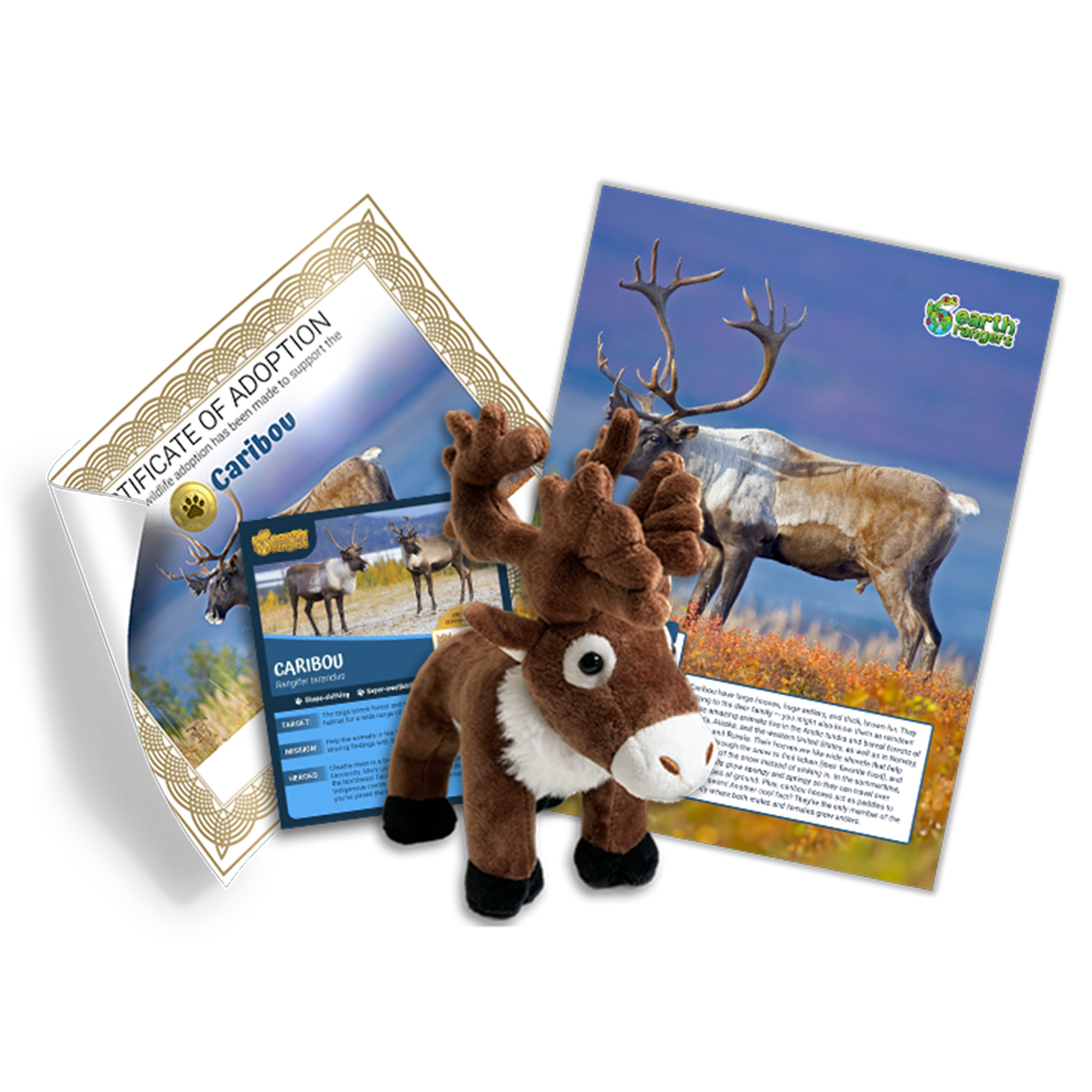 Caribou - Earth Rangers