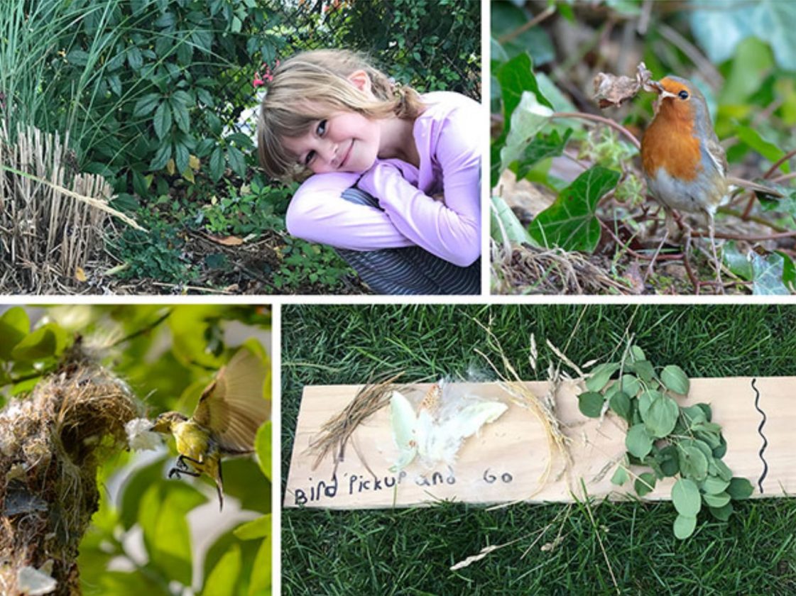 Eco Activity: Build a bird nest supply shop! - Where kids go to save ...