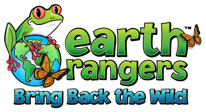 Monarch Butterfly Paper Toy - Earth Rangers