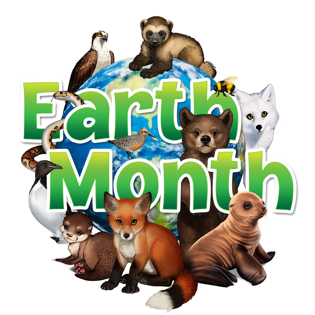 HSBC’s Earth Rangers Experience - Earth Rangers