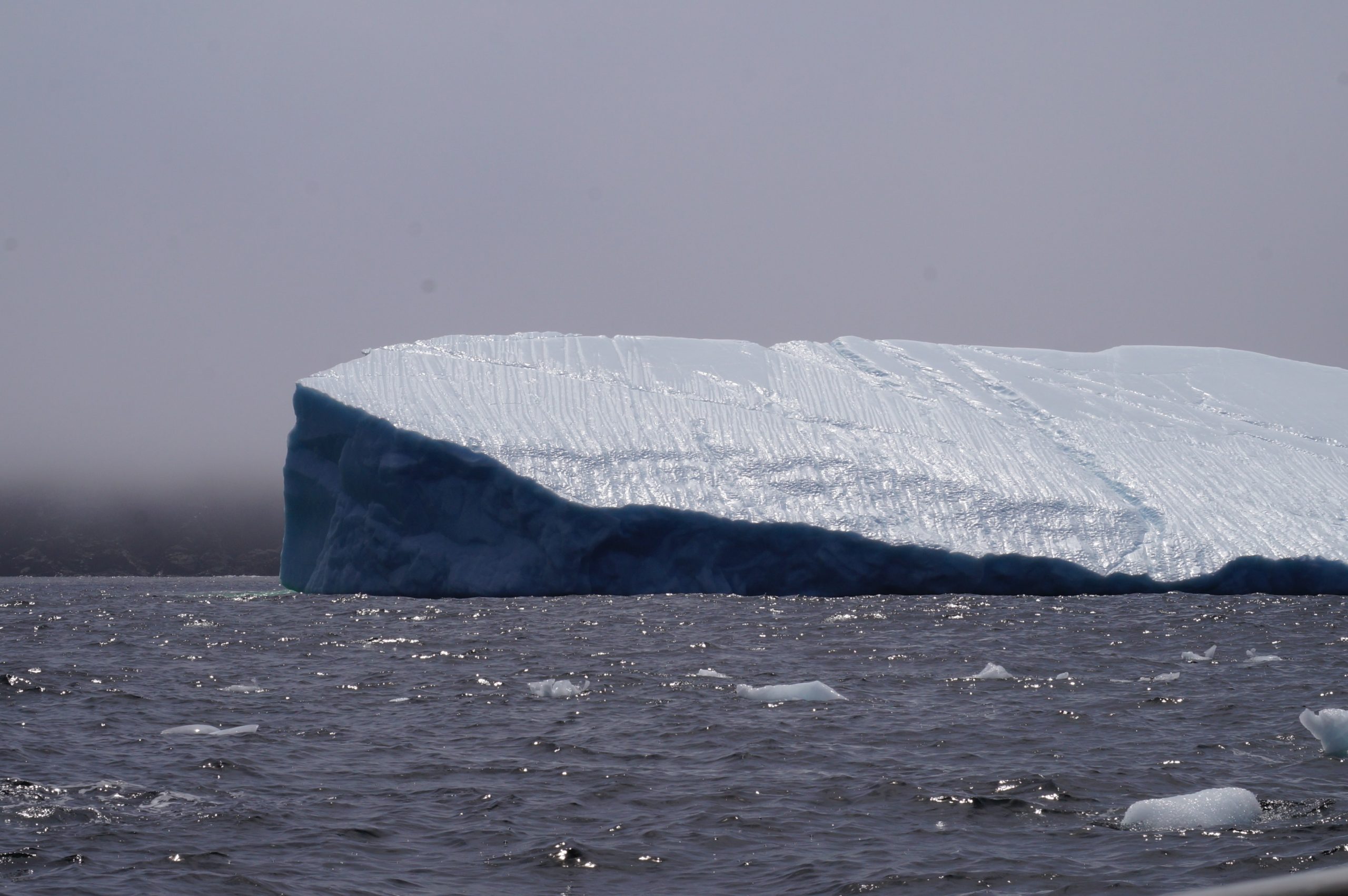 Canon Backyard Biologist Photo Contest – Finalists - Earth Rangers