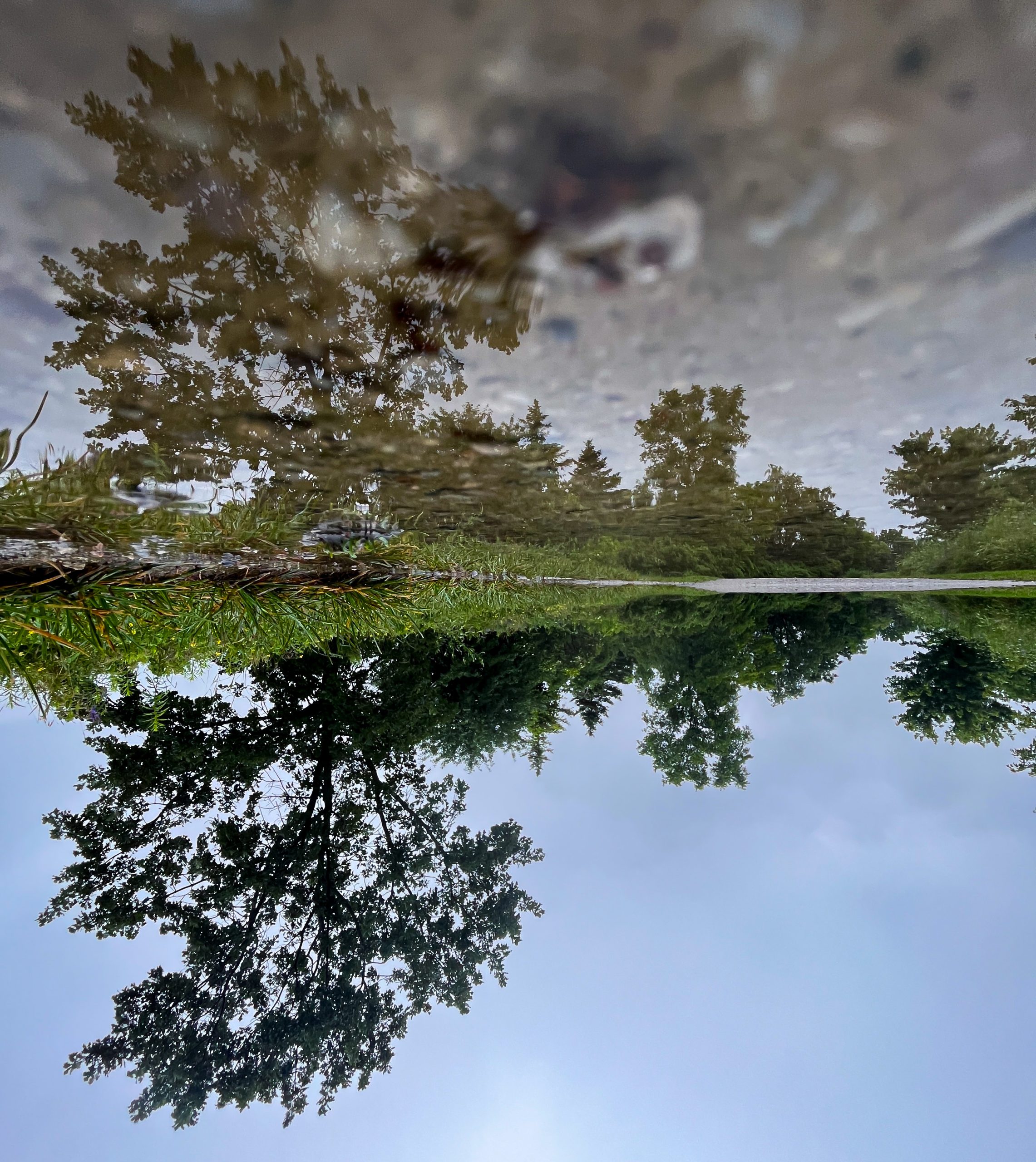 Canon Backyard Biologist Photo Contest – Finalists - Earth Rangers