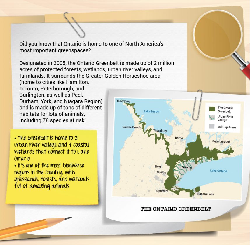 Wrapping up Waste Reduction Week with a BRAND NEW Earth Rangers Mission ...