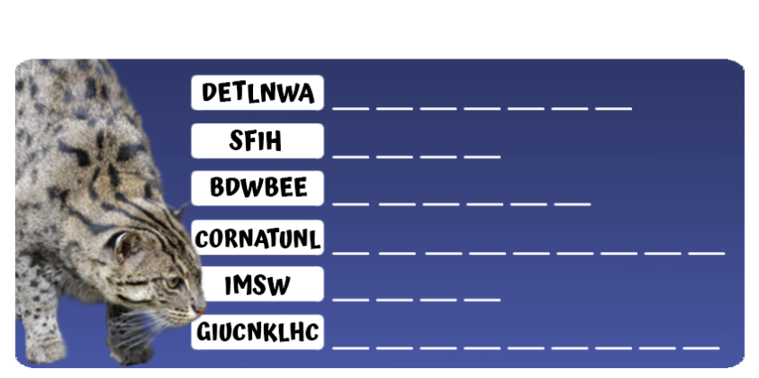 Fishing Cat Scramble - Earth Rangers