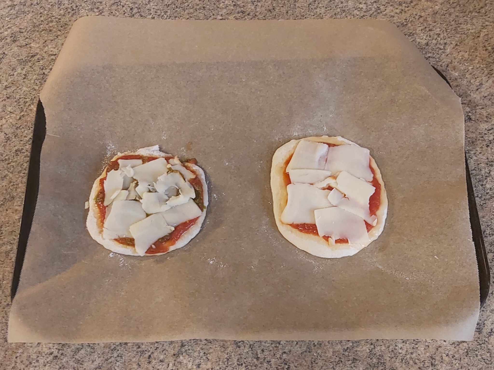 Pizza Fox - Earth Rangers