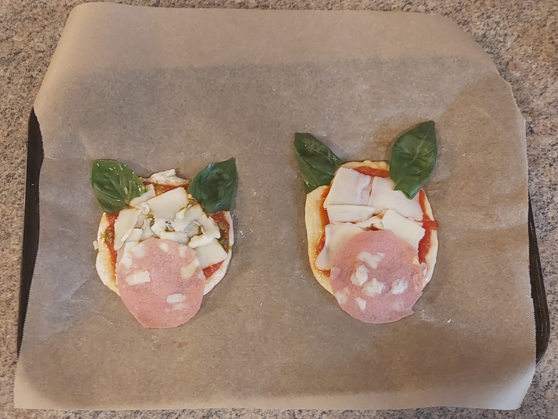 Pizza Fox - Earth Rangers