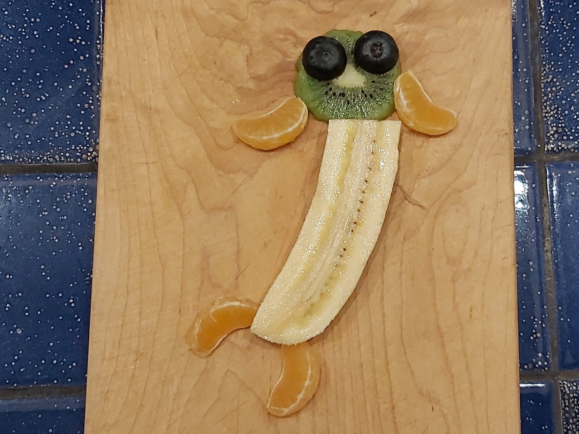 Seal Snack - Earth Rangers