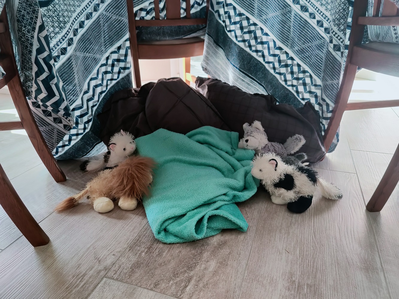 Indoor Camping - Earth Rangers