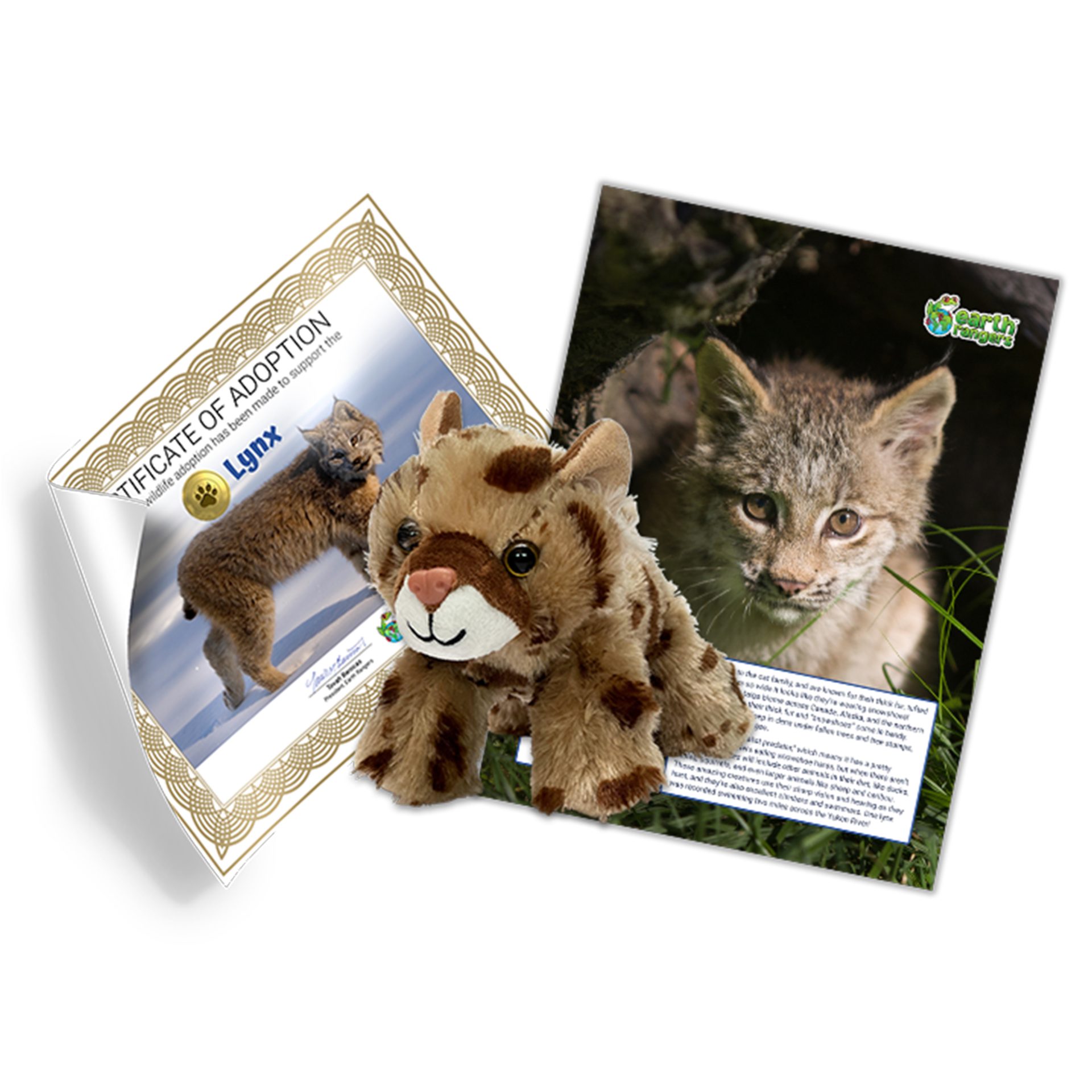 Lynx - Earth Rangers