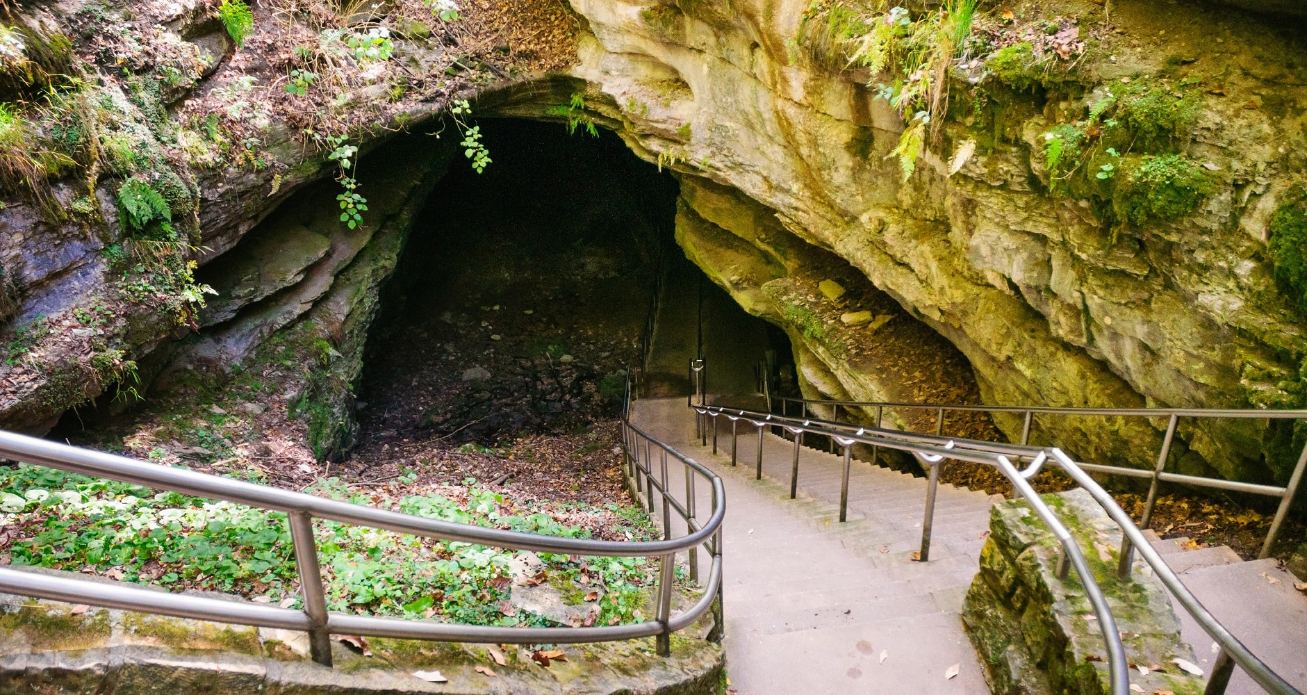 The Quest for the Best: Emma’s Underground Adventure - Earth Rangers