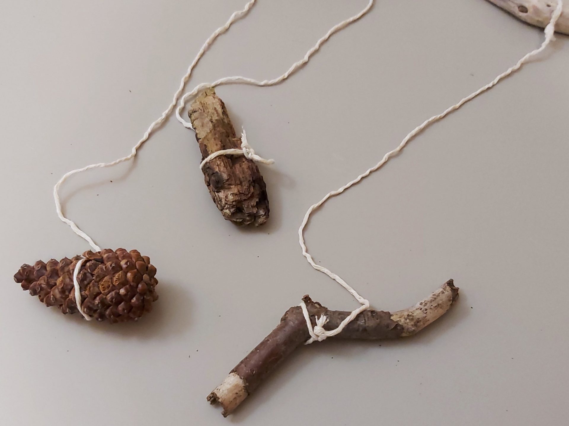 Nature Wind Chimes - Earth Rangers