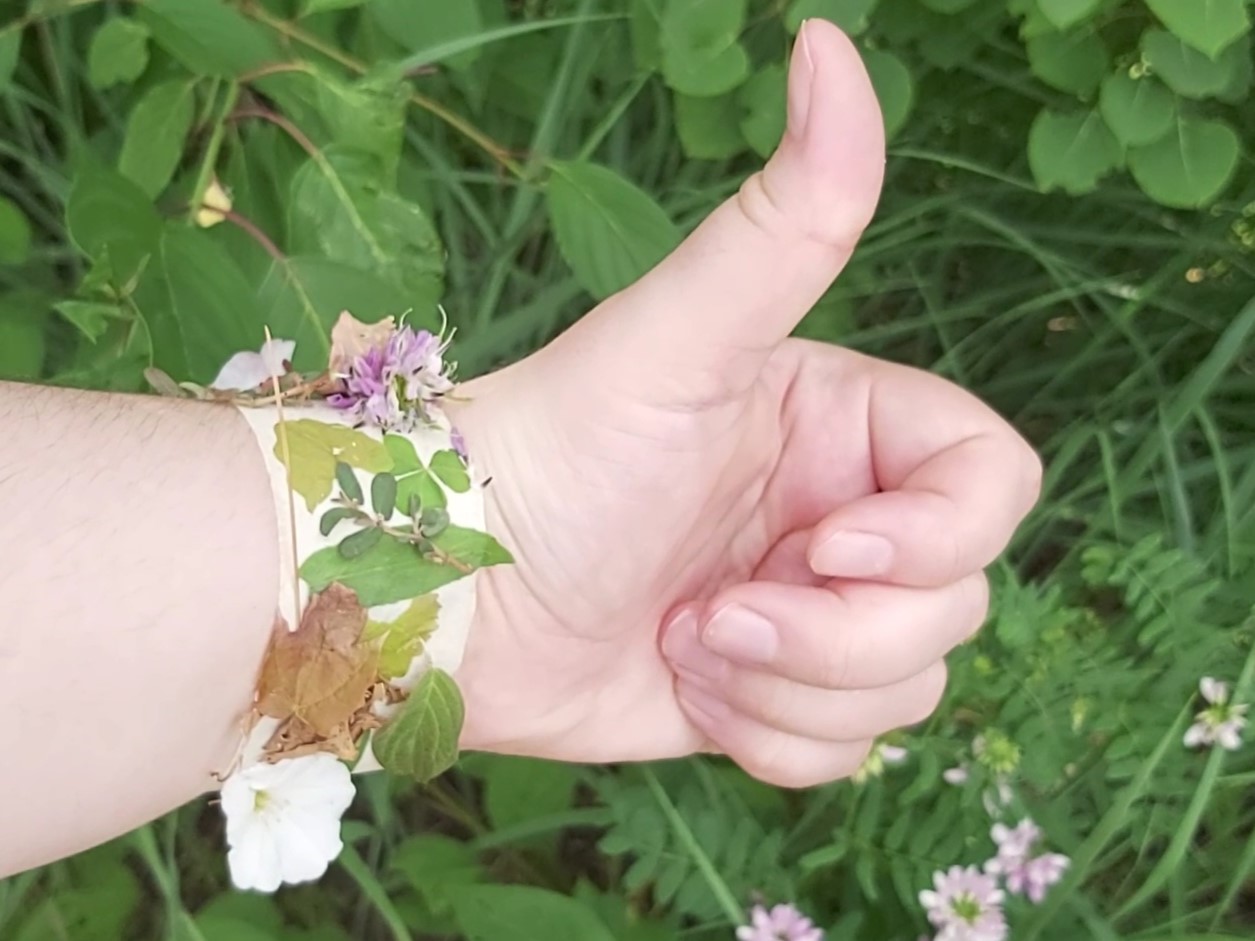 Nature Bracelet - Earth Rangers
