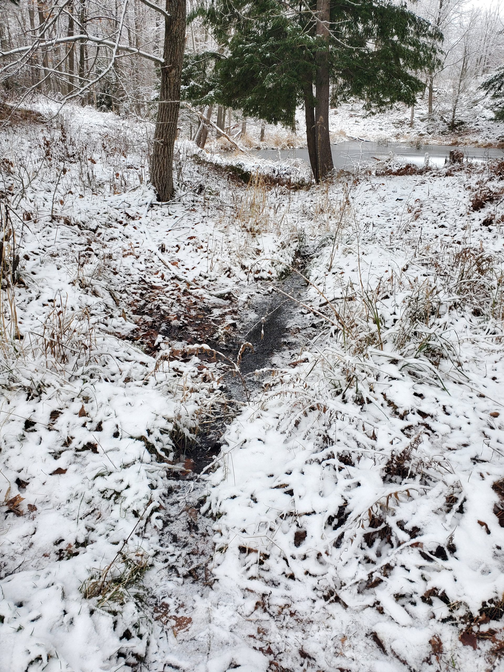 Wolves, Otters, and Moose! An Adventure in the Frontenac Arch with ...