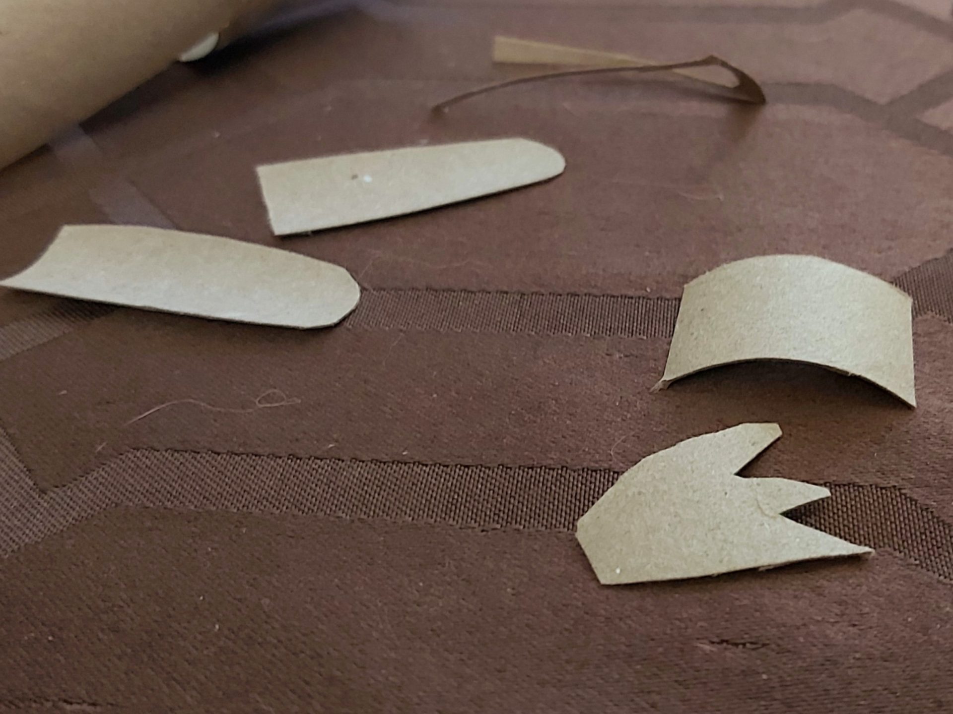 Paper Roll Koala - Earth Rangers