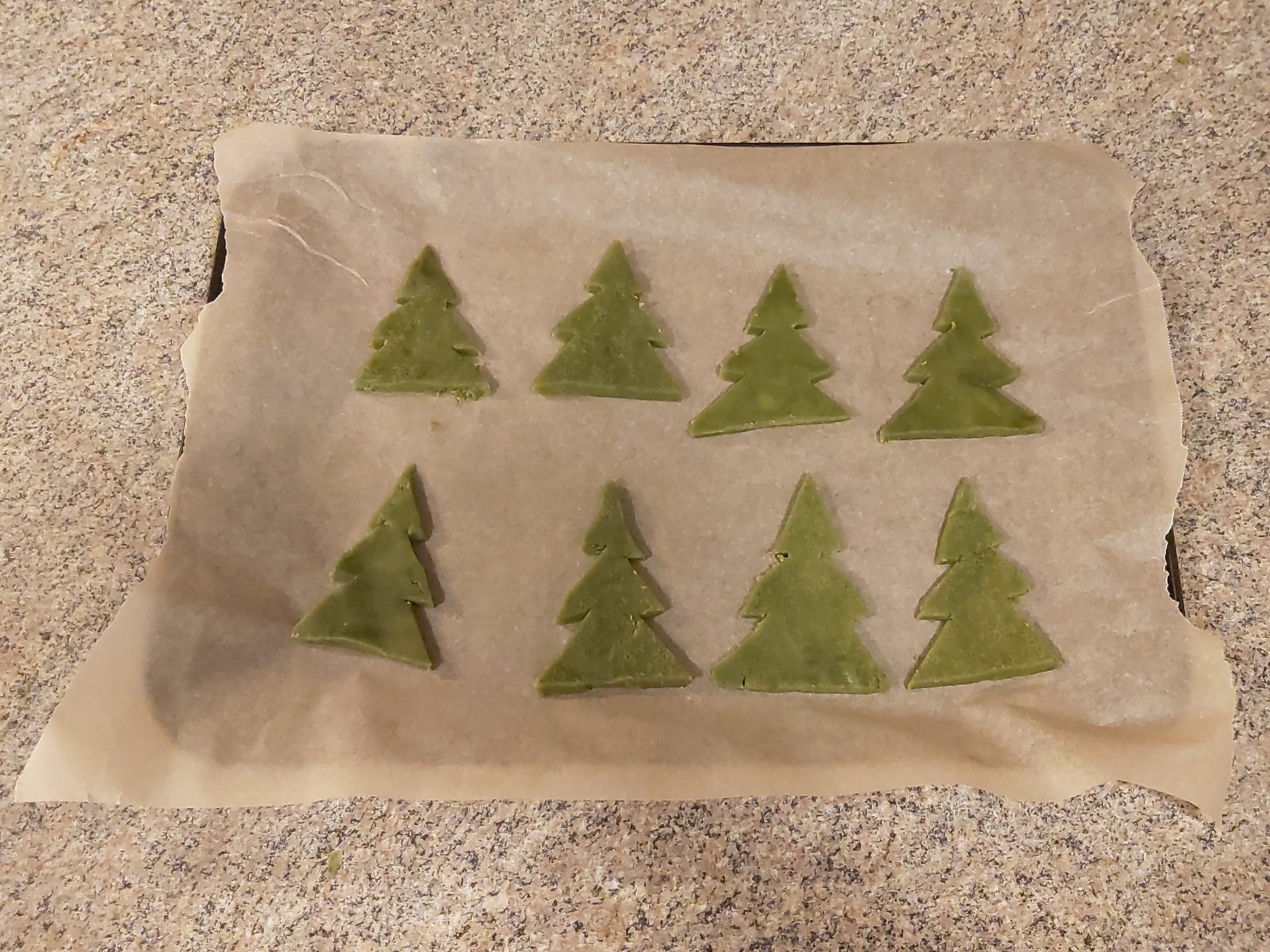 Pine Tree Cookies - Earth Rangers