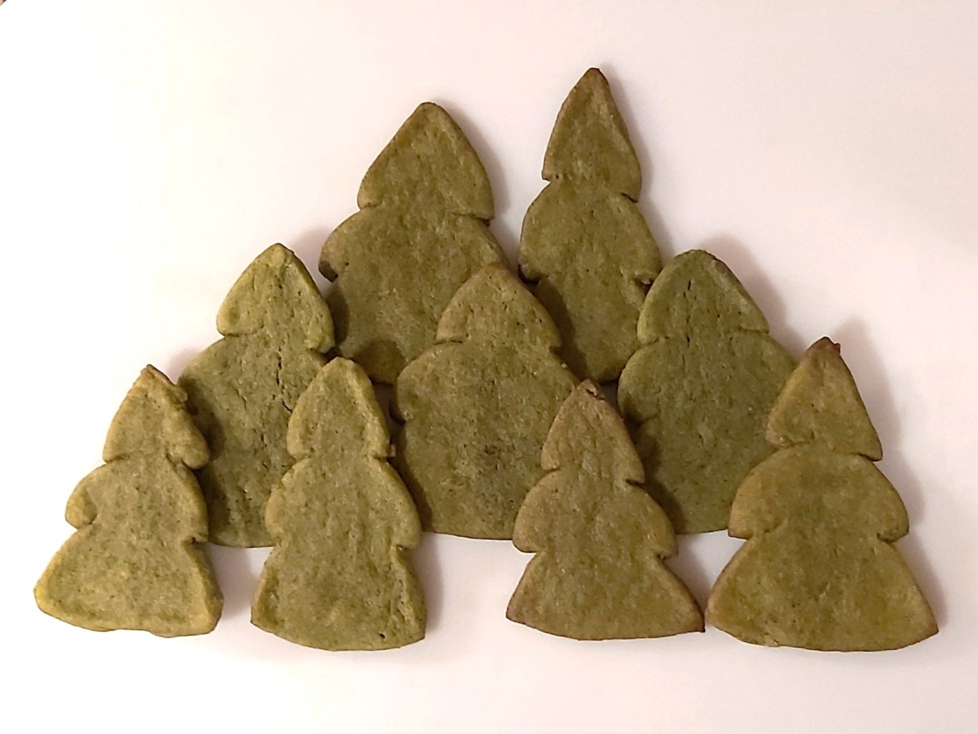 Pine Tree Cookies - Earth Rangers