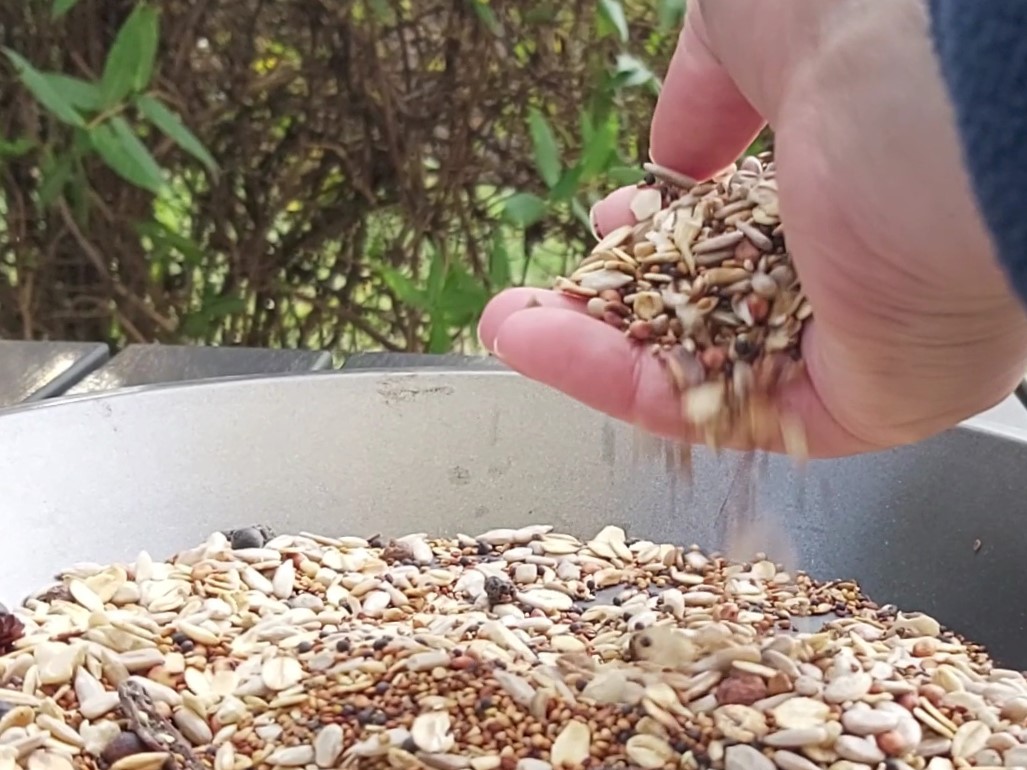 Feathered Friend Feeder - Earth Rangers