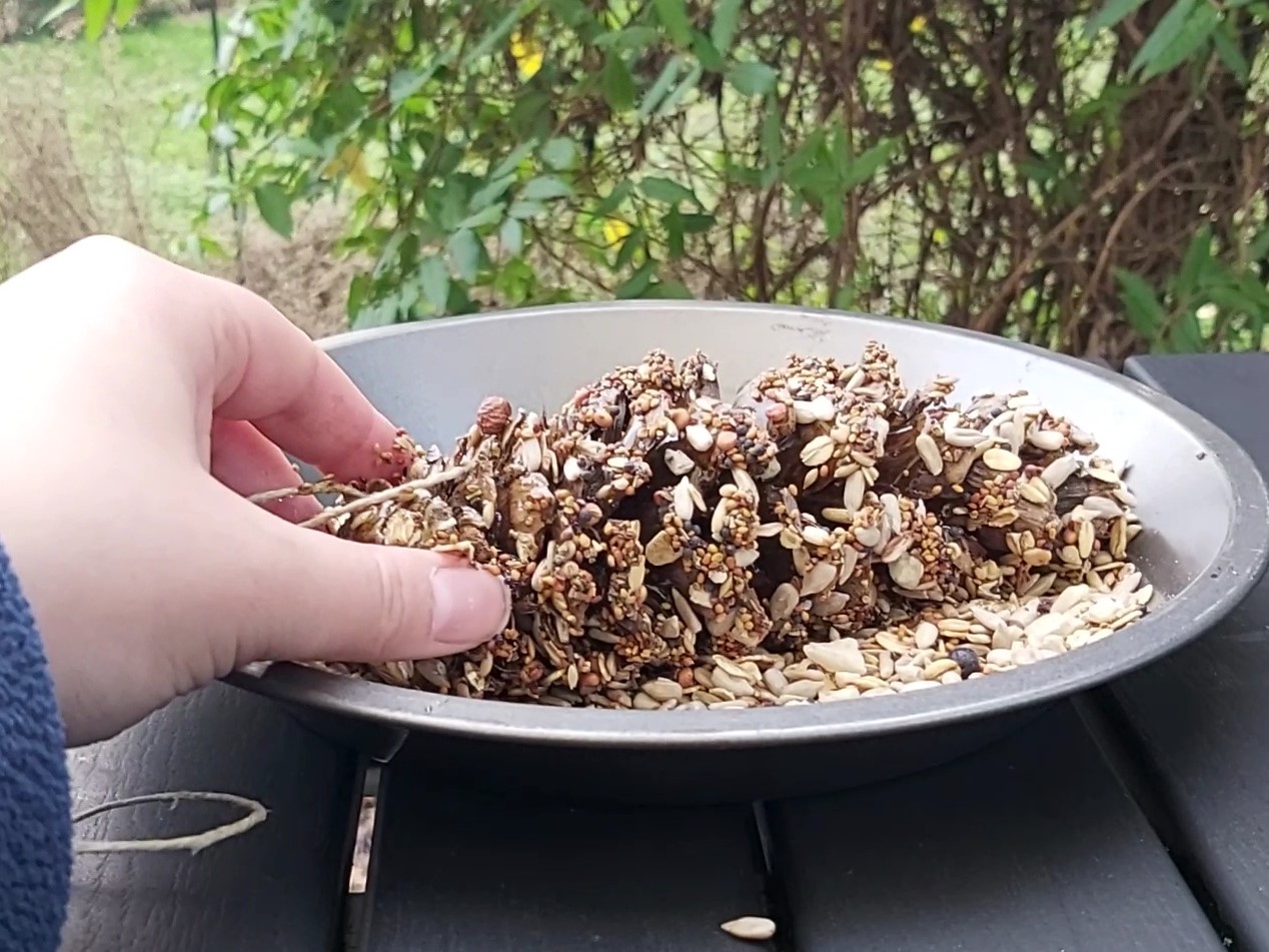 Feathered Friend Feeder - Earth Rangers