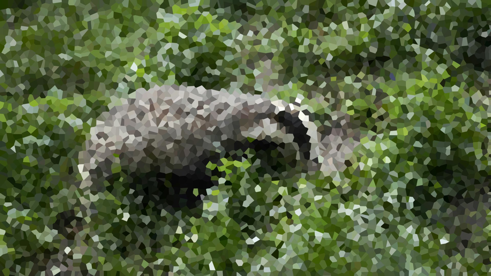 Pixel Puzzler #57: Part 1 - Earth Rangers