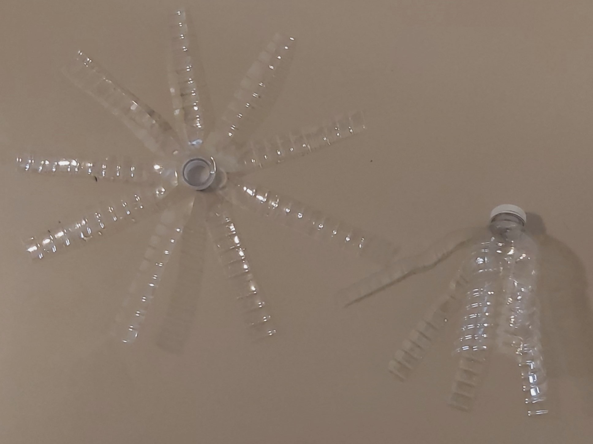 Plastic Petals - Earth Rangers