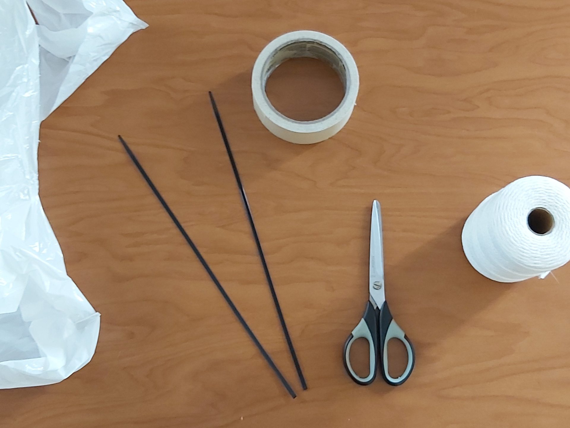 Recycled Kite - Earth Rangers