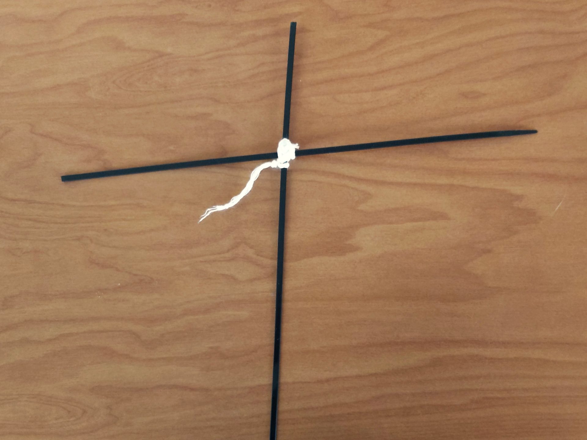 Recycled Kite - Earth Rangers