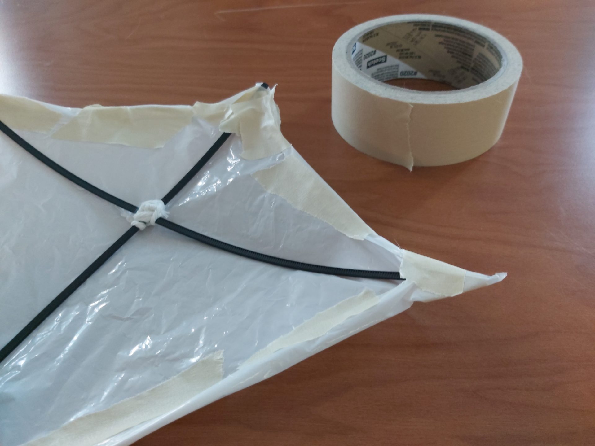 Recycled Kite - Earth Rangers