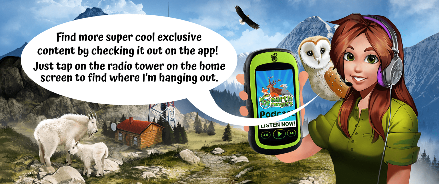 California Dreamin’ - Earth Rangers