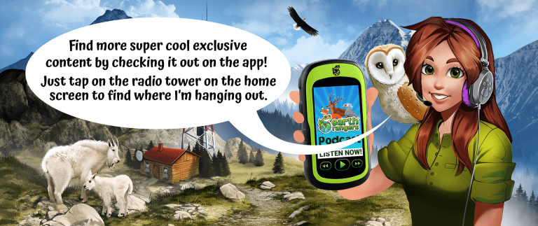 Save the Red Panda - Earth Rangers