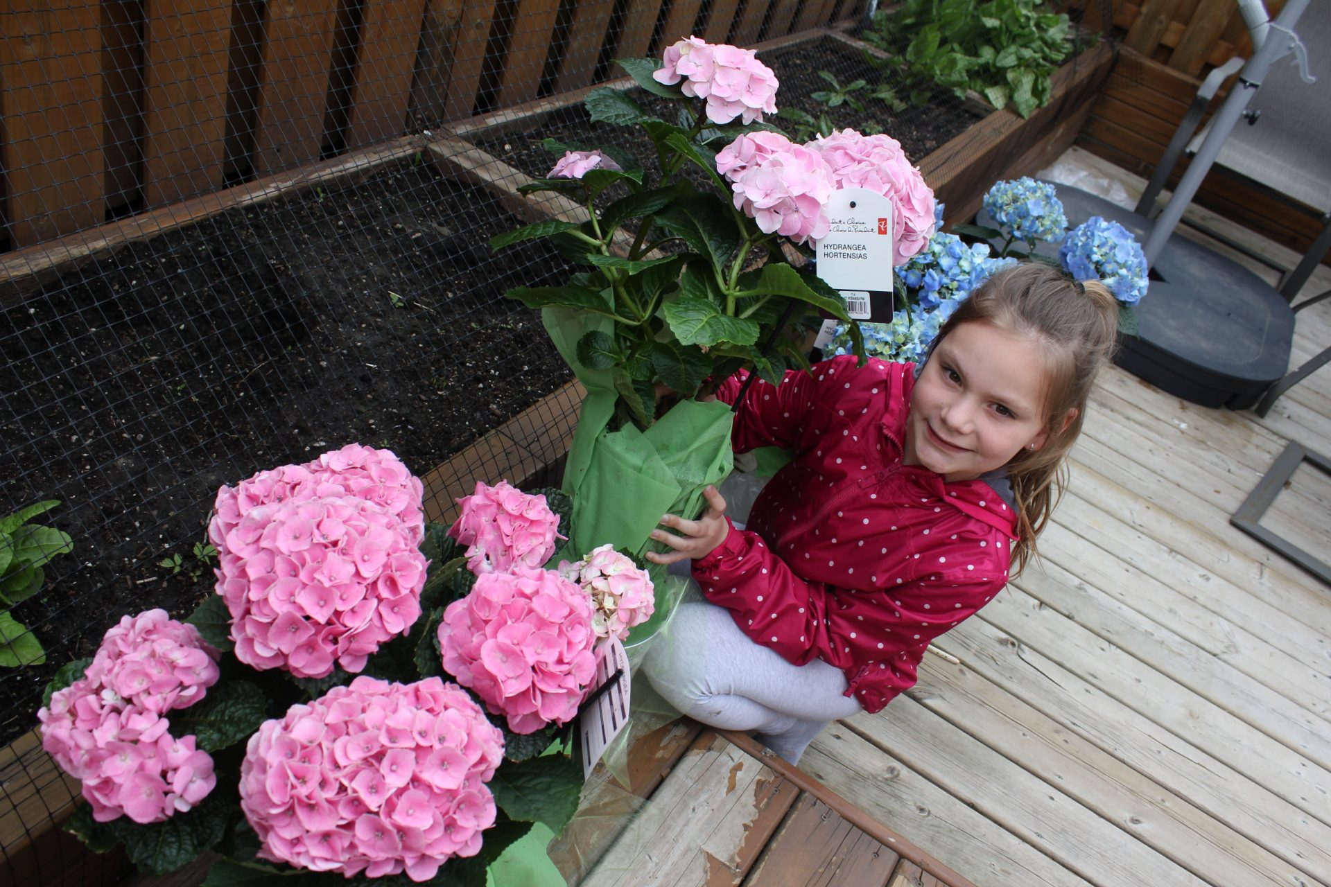 Super Ranger Sara is un-BEE-lievable! - Earth Rangers