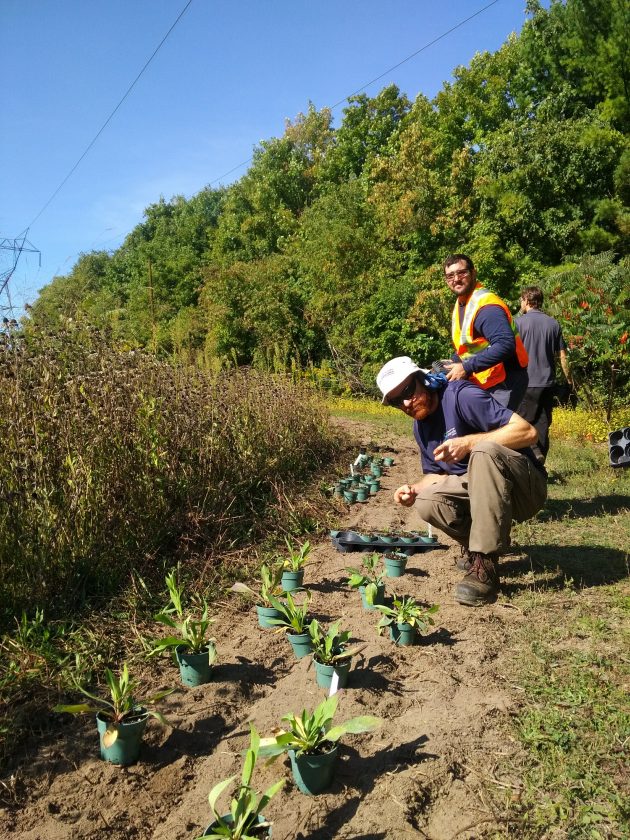 MeadoWAY to Go, Earth Rangers! - Earth Rangers